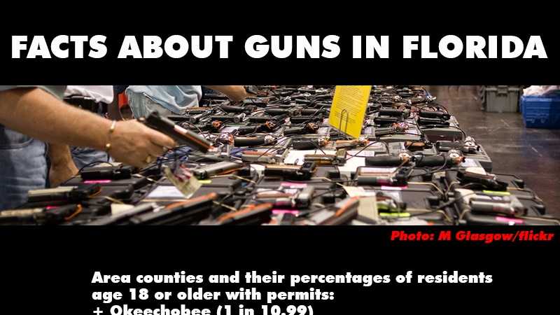 Facts About Guns In Florida