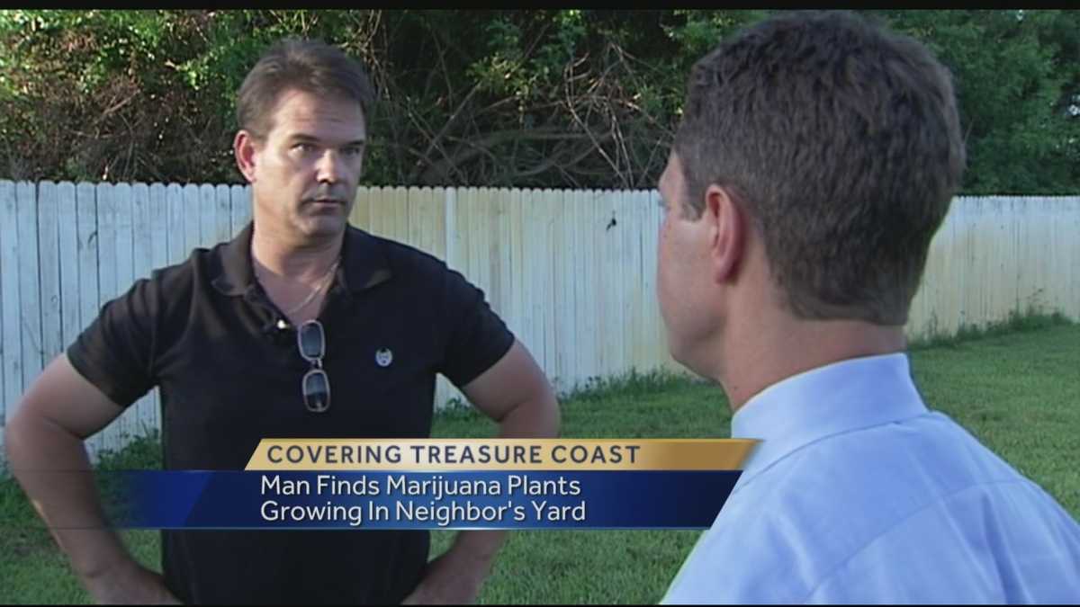 Police investigating tree theft wind up making drug arrest