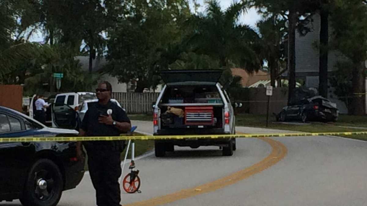 Images: Car hits tree