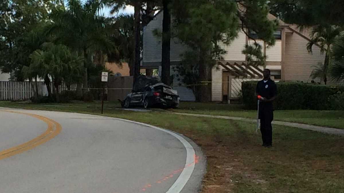 Images: Car hits tree