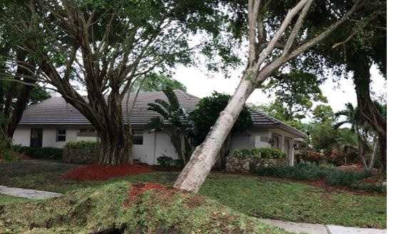 Boca Raton storm damage in photos