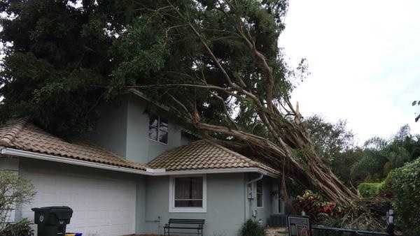 Boca Raton storm damage in photos