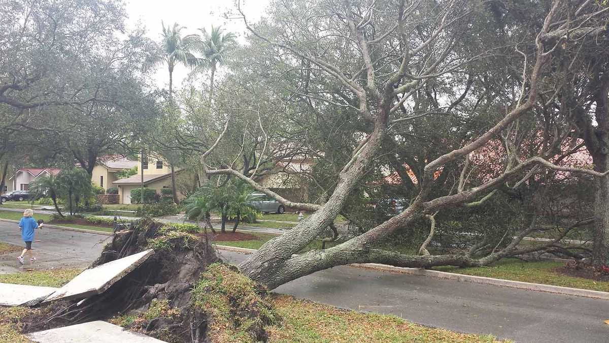 Boca Raton storm damage in photos