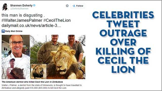 Celebrities tweet outrage over killing of Cecil the lion