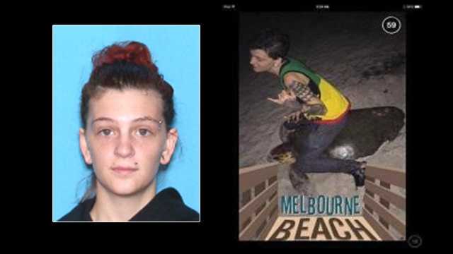 Florida woman arrested, accused of riding sea turtle