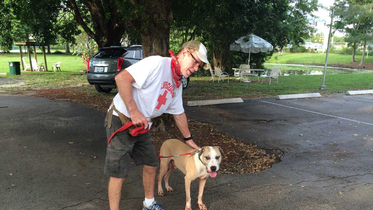 Dogs rescued from South Carolina arrive in Boca Raton