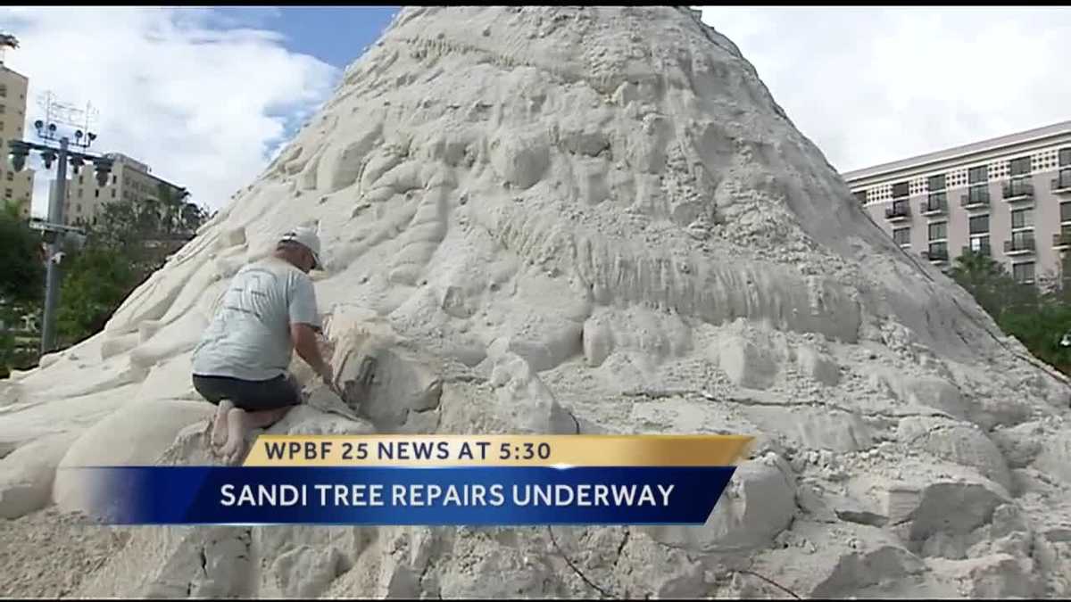 Crews work to repair Sandi Tree