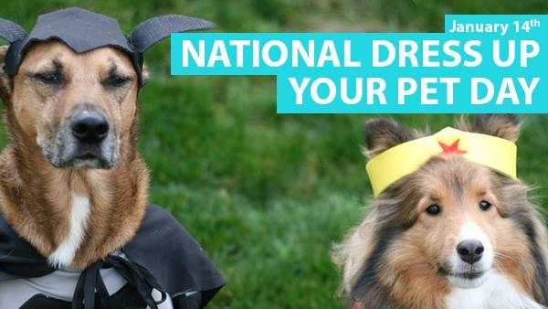 Photos: National Dress Up Your Pet Day