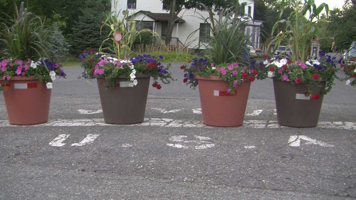 Border fence of flowers? Barrier goes floral