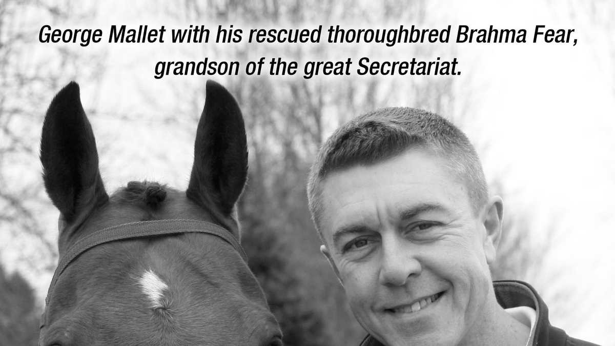 For George Mallet, horse ownership transports him back in time