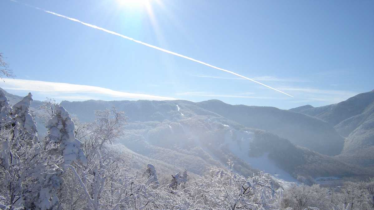 27 Things you may not know about Stewart Ledbetter