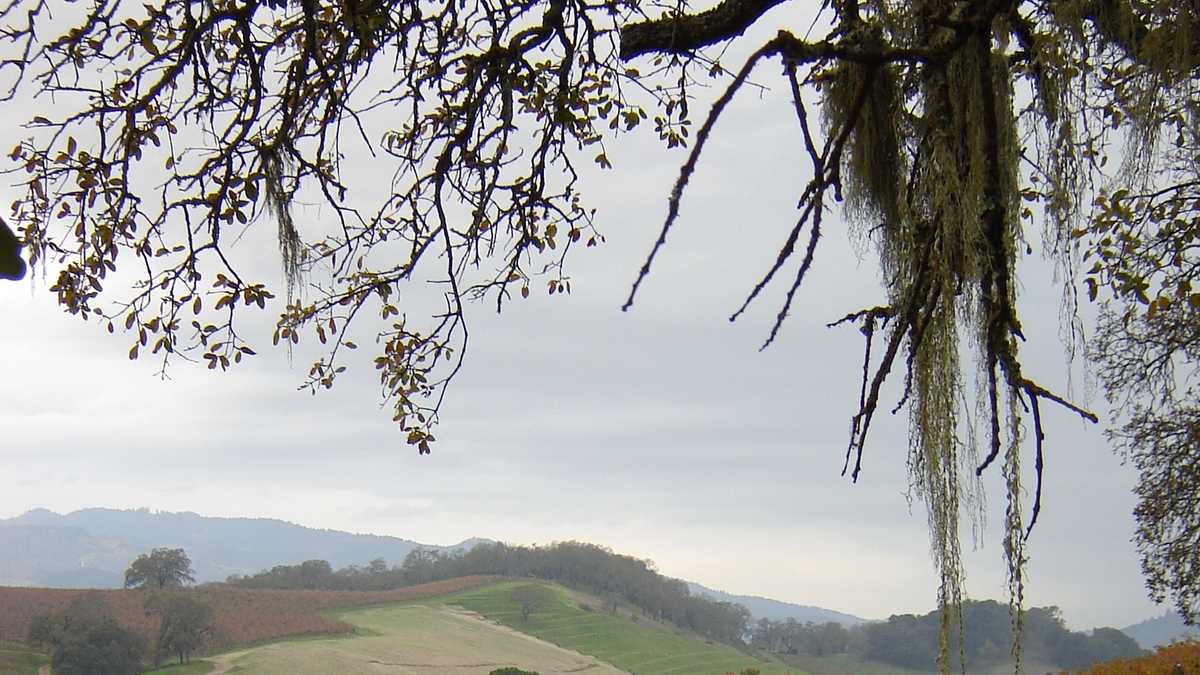 27 Things you may not know about Stewart Ledbetter