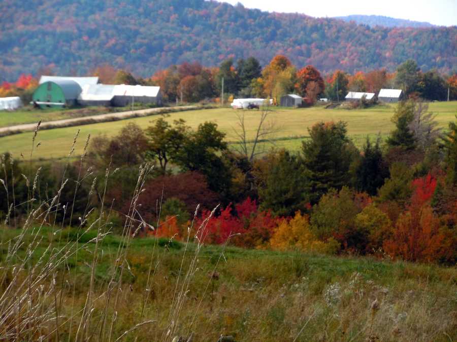 PHOTOS: Fall Foliage Tour led by WPTZ Facebook Fans