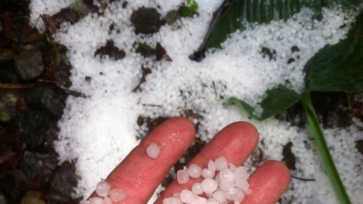PHOTOS: Pop-up storm pelts region with hail