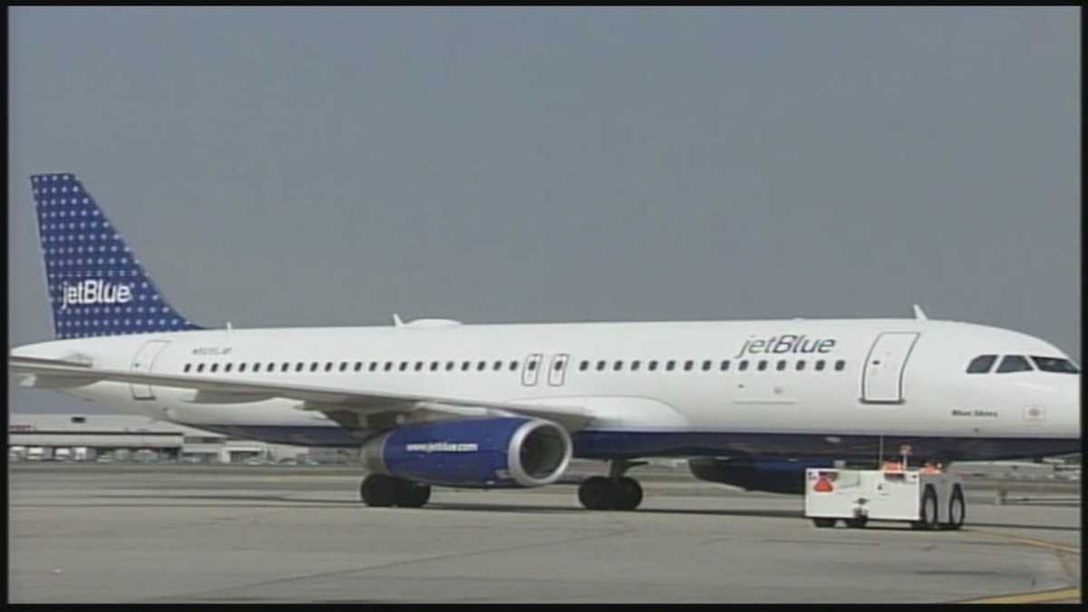 JetBlue jet returns to NYC's JFK after bird strike