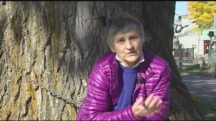 Woman chains herself to tree