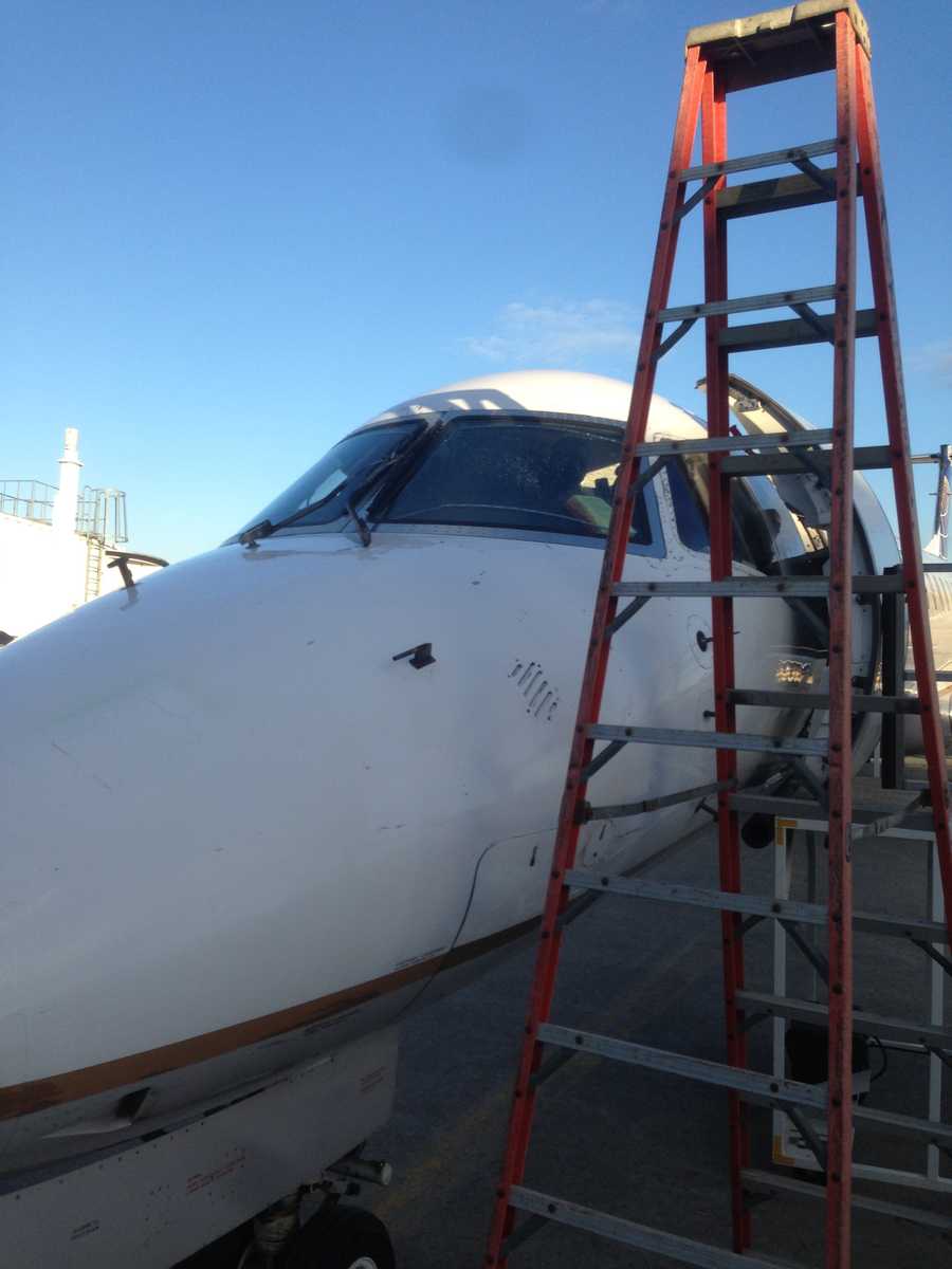 PHOTOS: Airplane windshield damaged by bird