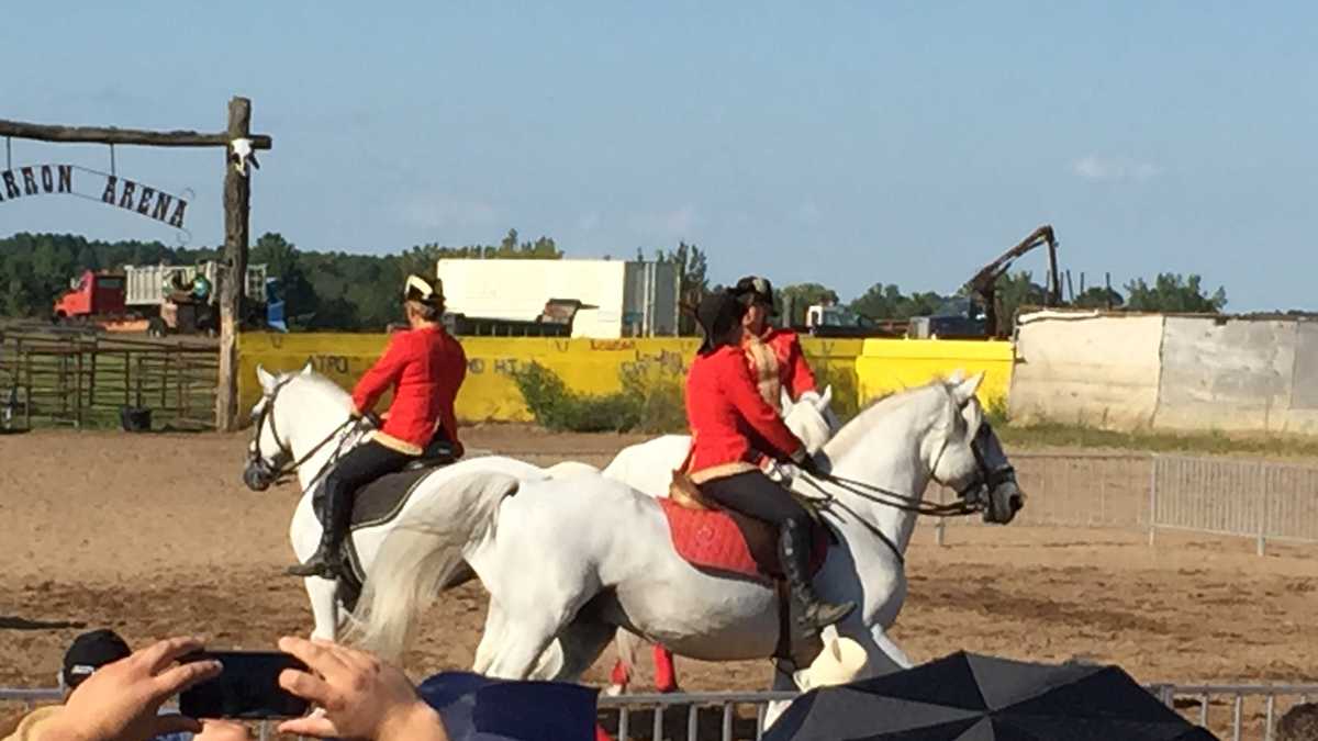 Royal Lipizzaner Stallions in Champlain Valley show