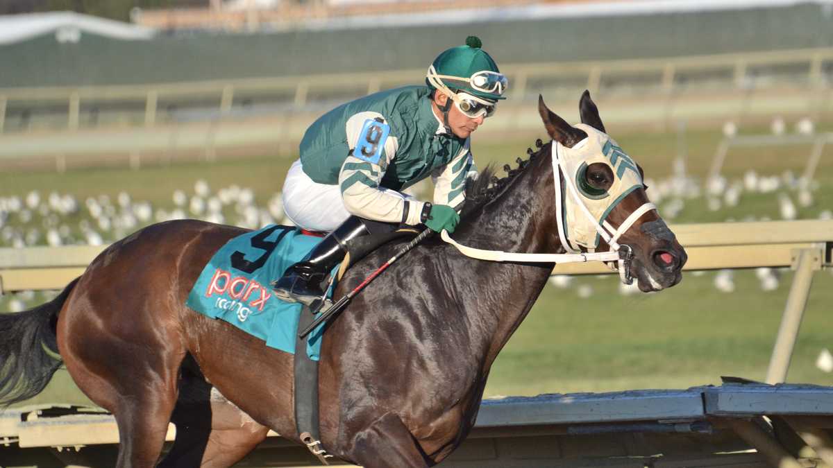 Philadelphia filly showing real potential early in her career
