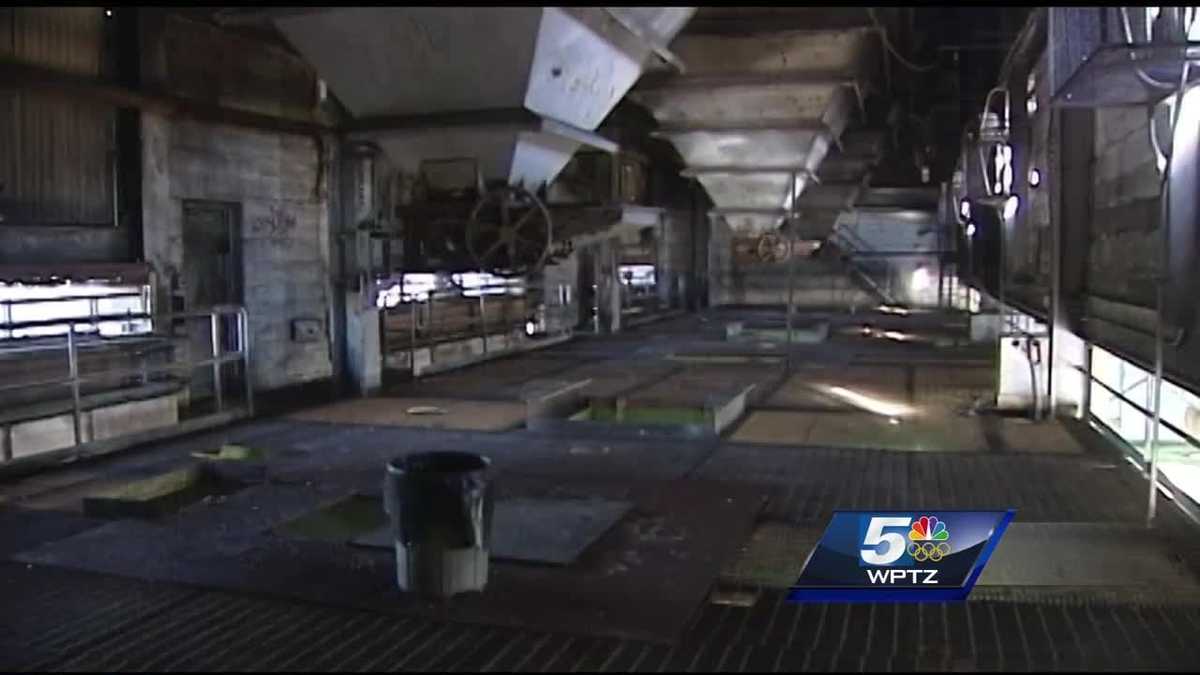Artist brings out Moran Plant's beauty