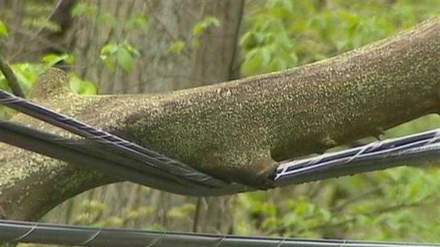 Residents say low-hanging tree limbs more than just nuisance