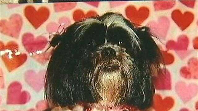 Carrick dog mauled to death