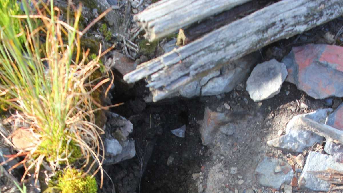 In Photos: Centralia, Pennsylvania's Ghost Town