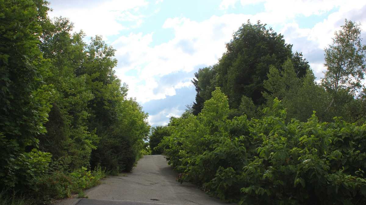 In Photos: Centralia, Pennsylvania's Ghost Town