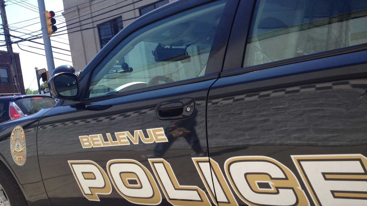 Which Towns In Allegheny County Have The Most Sex Offenders