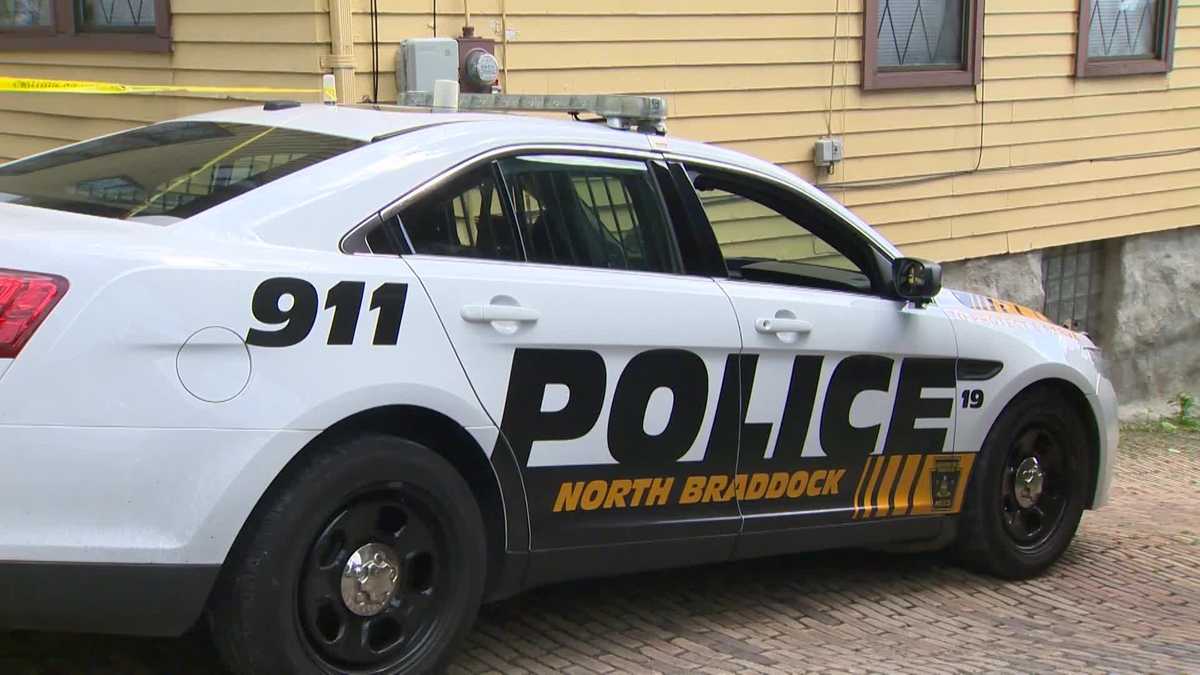 Which Towns In Allegheny County Have The Most Sex Offenders