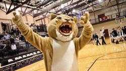 20 things you didn't know about Andrew Stockey