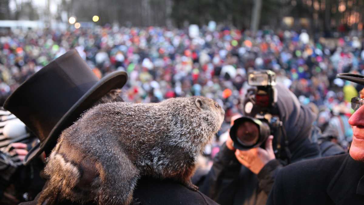 2013 Groundhog Day Festival, Part 2