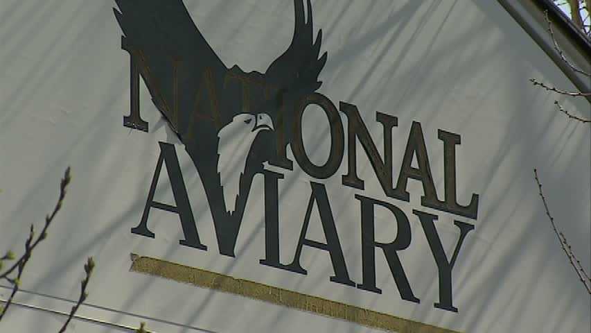 Endangered vulture escapee home safe at National Aviary
