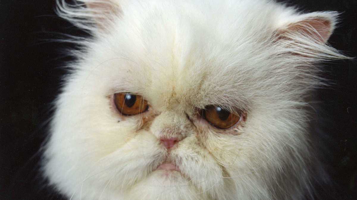 20 things you didn't know about meteorologist Ashley Dougherty