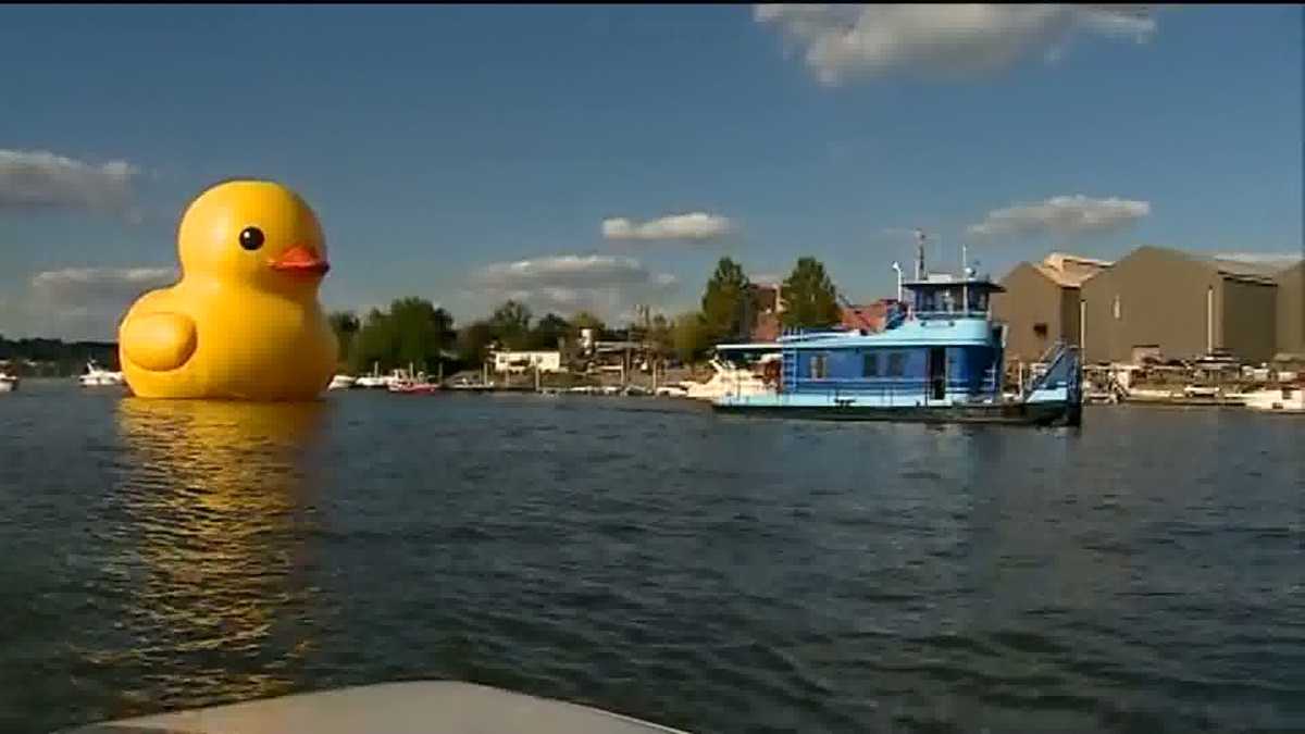 Photos: Giant rubber duck floats down Pittsburgh's rivers
