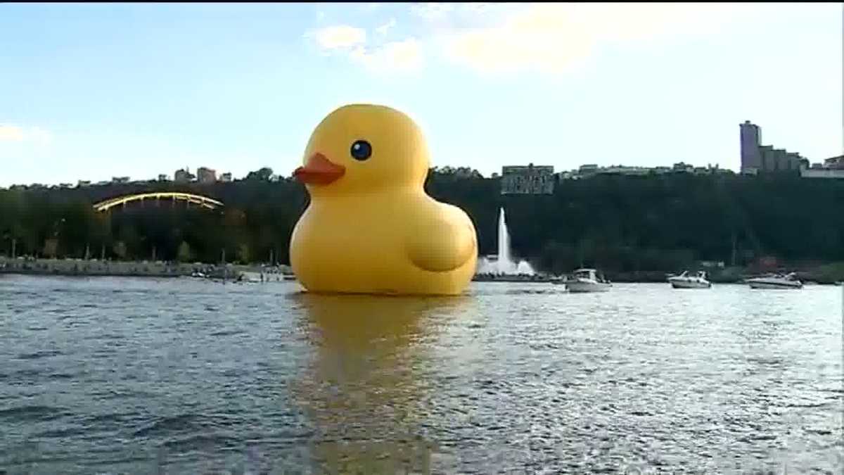 Photos: Giant rubber duck floats down Pittsburgh's rivers