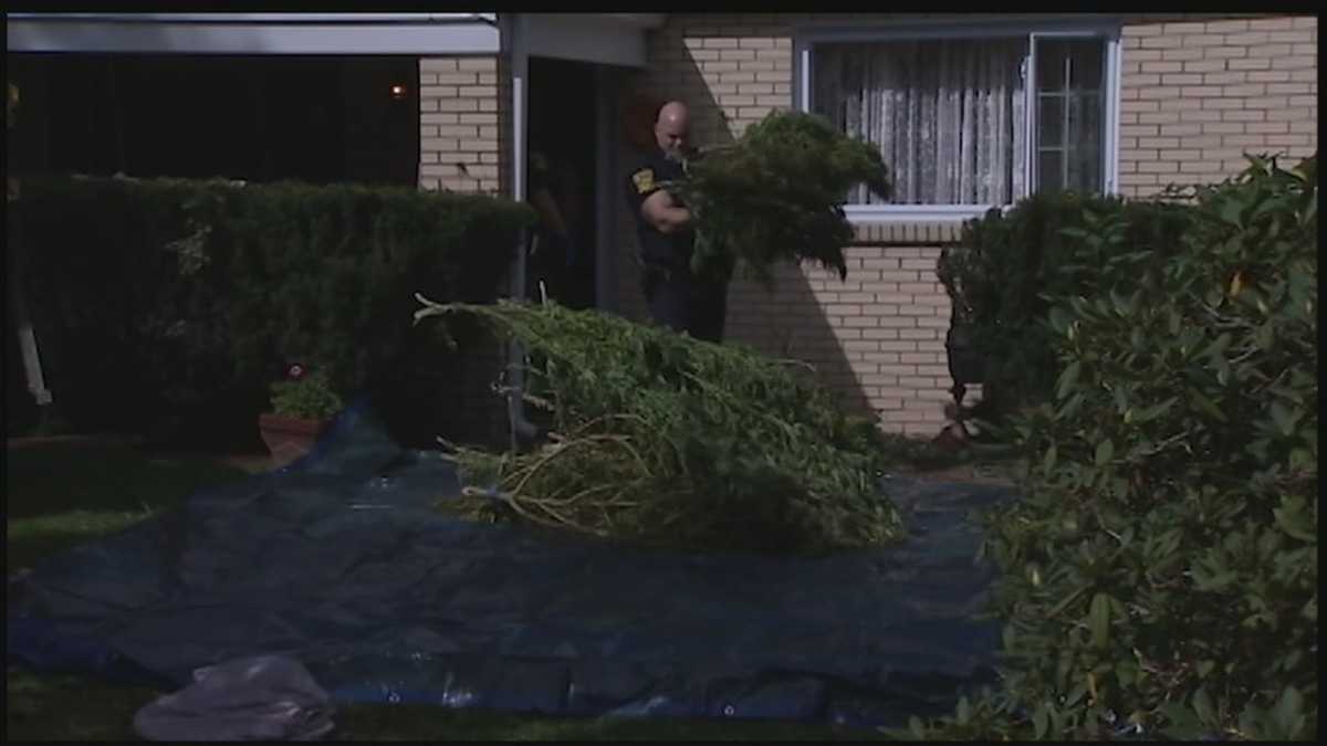 House explodes in Moon Twp.; alleged marijuana operation found