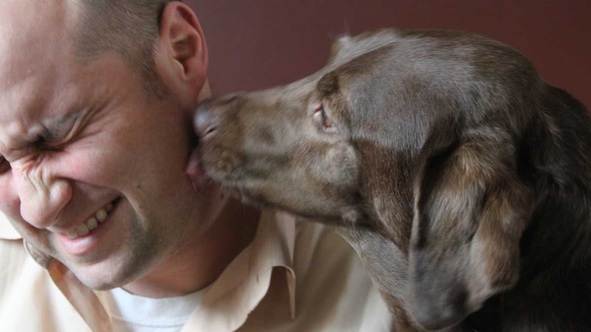 20 things you don't know about Ray Petelin