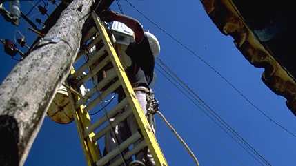 20 things you don't know about Ray Petelin