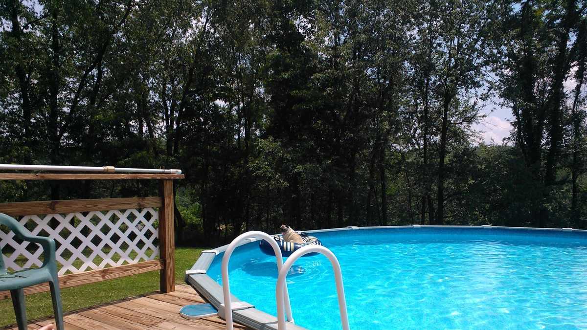 20 things you don't know about Ray Petelin