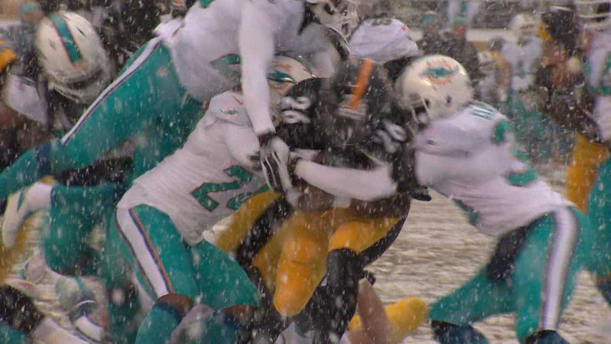 Dolphins rally, stun Steelers in snow