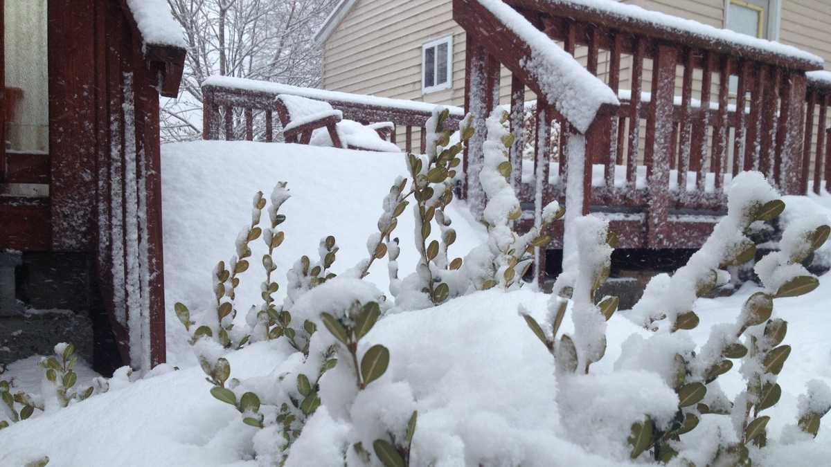 Slideshow: Photos from Tuesday's snowfall