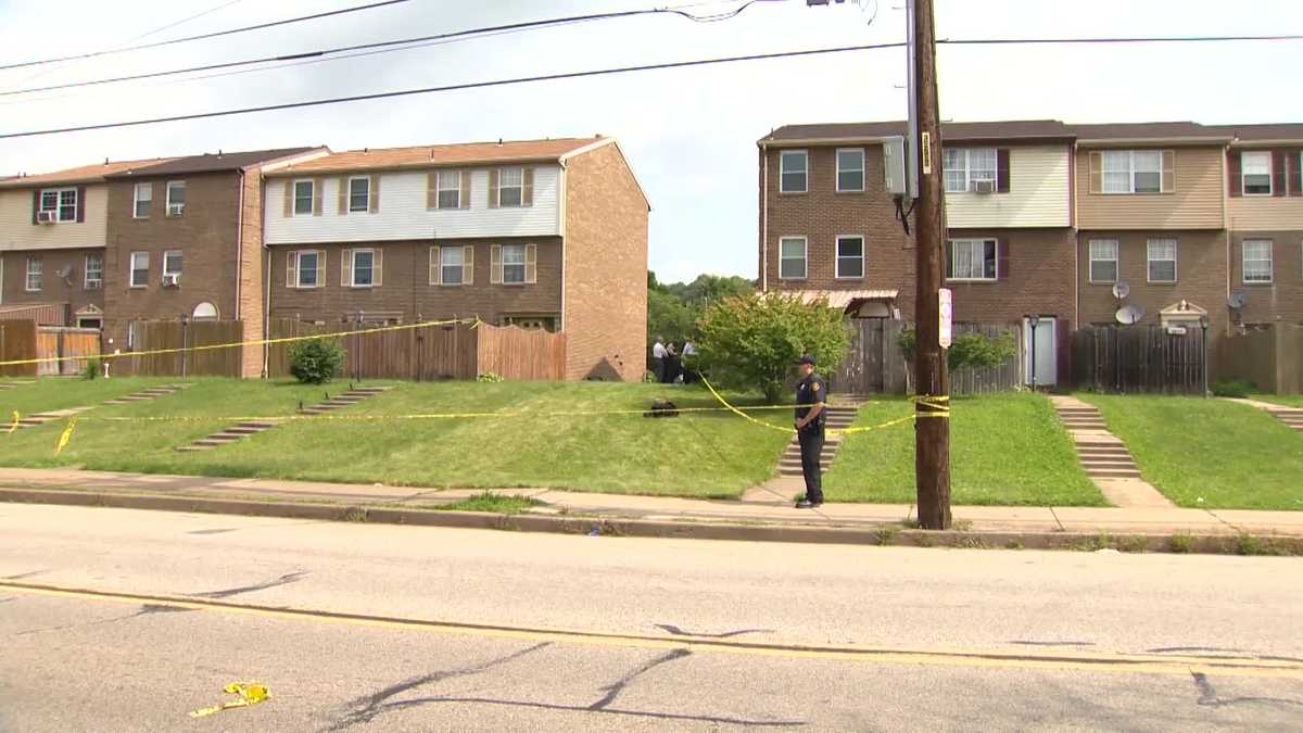1 dead in Homewood shooting