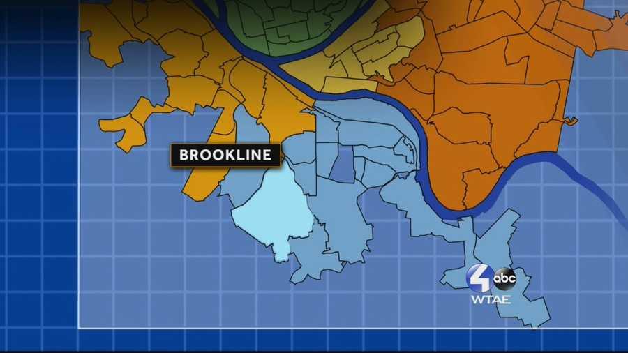 Chronicle: The Culture of Brookline