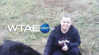 Driver goes airborne after hitting 8-foot, 600-pound bear on her way to ...