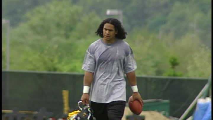Through the years: Troy Polamalu in pictures