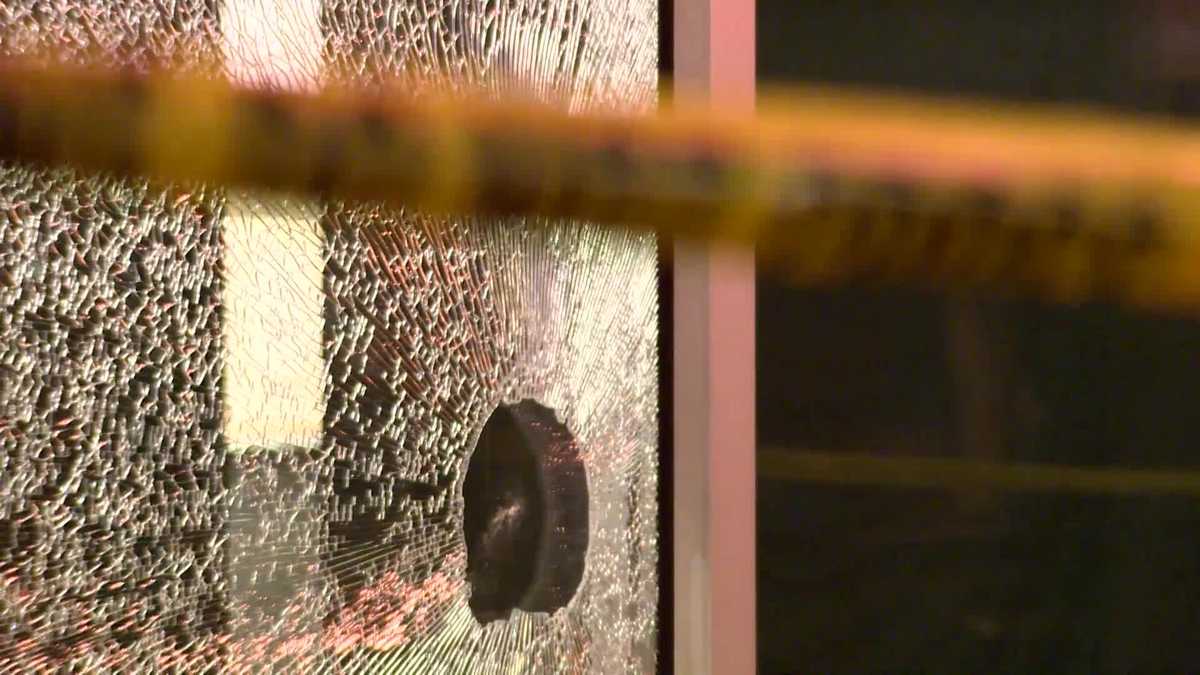 Photos: Windows smashed, storefronts damaged by Shadyside vandals