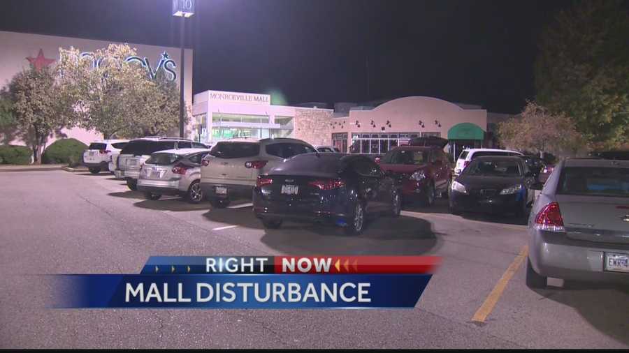 Teenager identified as suspect in Monroeville Mall incident