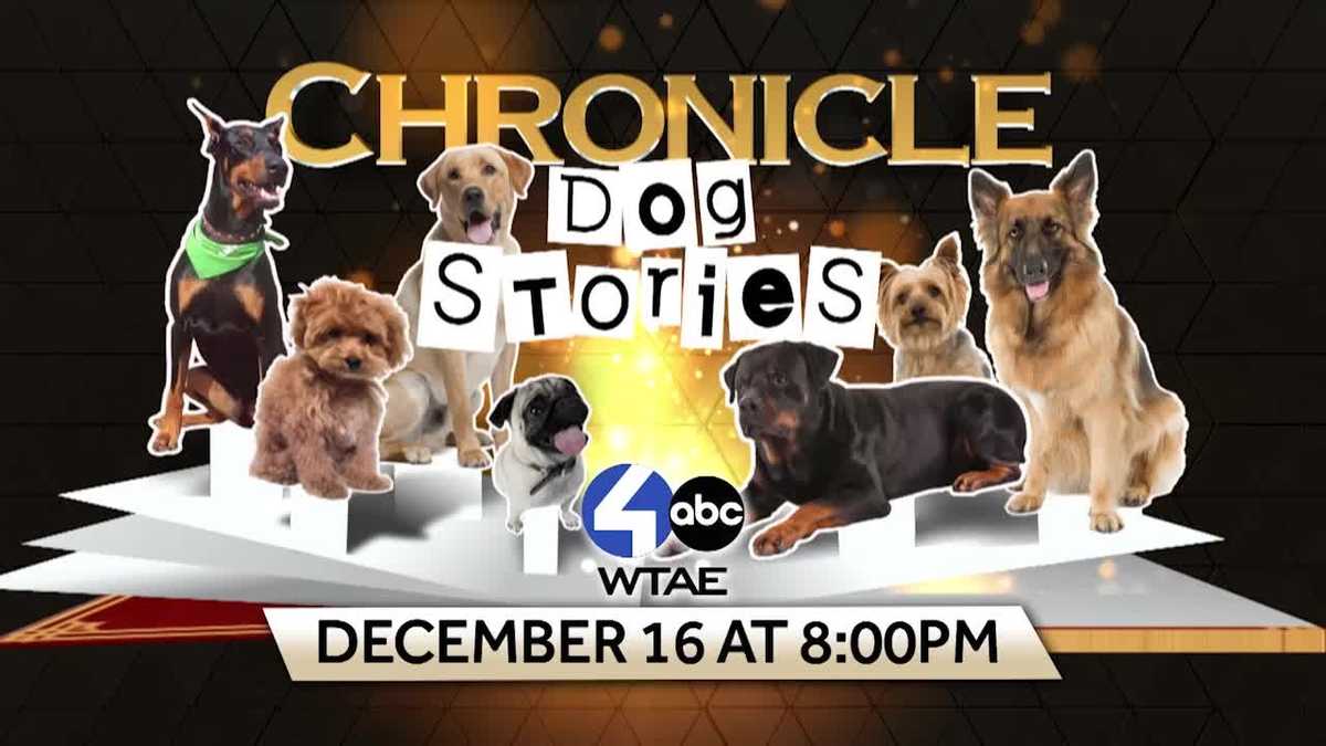 Pittsburgh's WTAE Channel 4 presents 'Chronicle: Dog Stories'