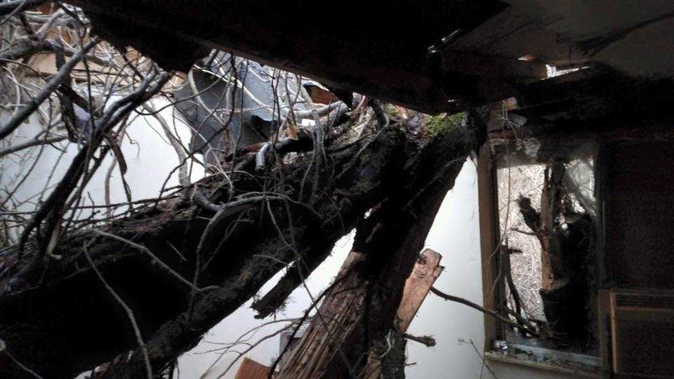 Photos: Tree falls on building in Etna